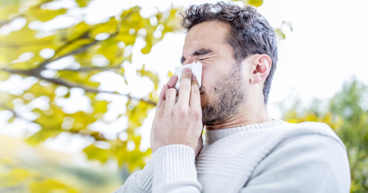 Practical Advice for Allergy Sufferers | El Camino Health