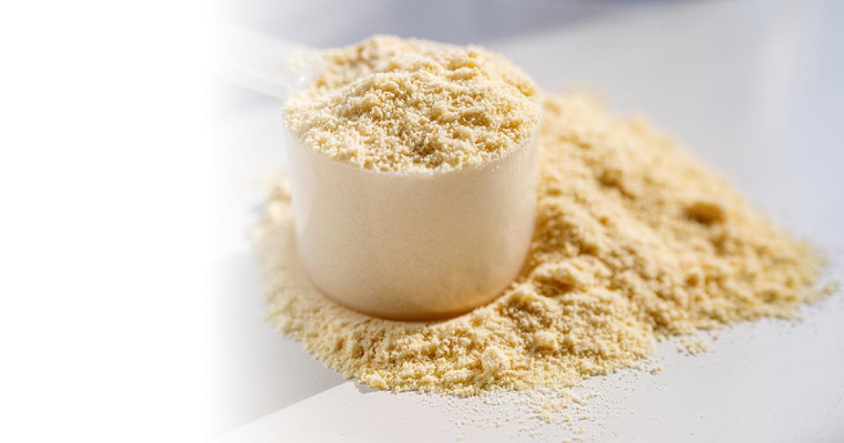 Protein Craze: Are Supplements Worth the Expense and Hype? | El Camino ...